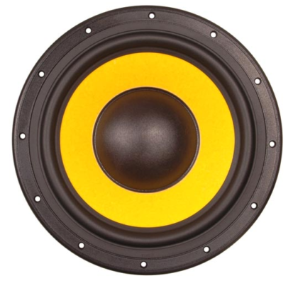 HiVi F10 10" MidBass/Midrange 8Ohm - diyaudiocart