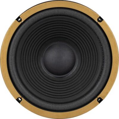 DAC - 10" Ribbed Paper Cone Woofer with Foam Surround 8 Ohm - diyaudiocart